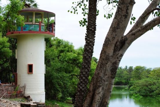 Vedanthangal Bird Sanctuary | Kanchipuram - What to Expect | Timings ...