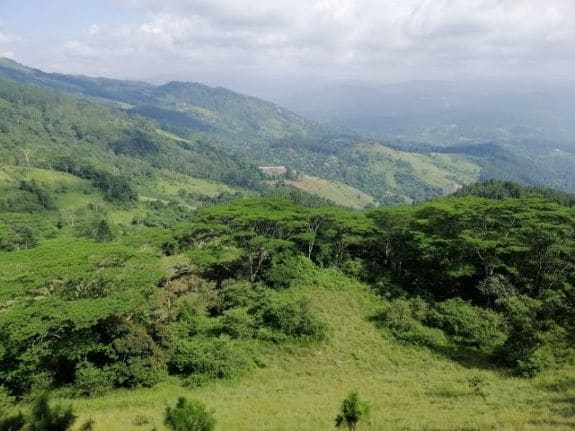 Hike through Hanthana Mountain Range | Kandy - What to Expect | Timings ...