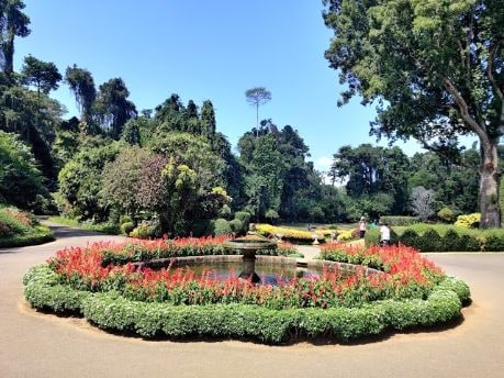 Stroll through Royal Botanical Gardens | Kandy - What to Expect ...