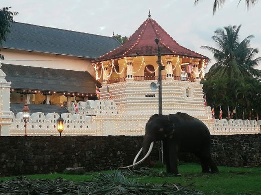 Royal Palace of Kandy | Kandy - What to Expect | Timings | Tips - Trip ...