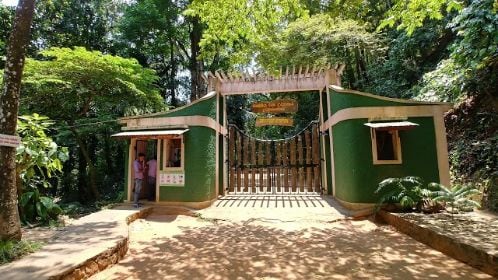 Udawattakele Forest Reserve | Kandy - What to Expect | Timings | Tips ...