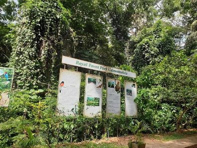 Udawattakele Forest Reserve | Kandy - What to Expect | Timings | Tips ...