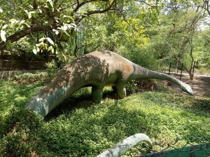 Allen Forest Zoo | Kanpur - What to Expect | Timings | Tips - Trip ...