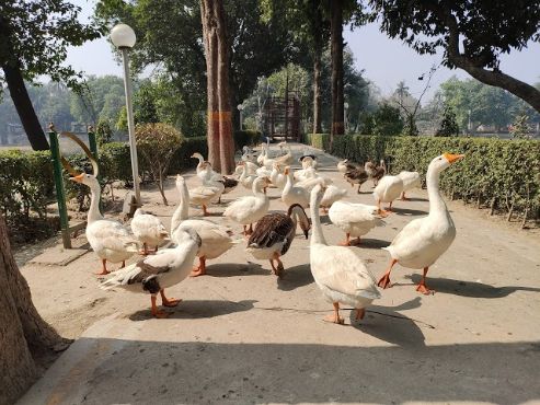 Moti Jheel | Kanpur - What to Expect | Timings | Tips - Trip Ideas by ...