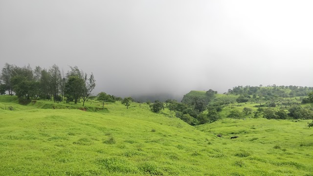 Ulhas Valley | Karjat - What to Expect | Timings | Tips - Trip Ideas by ...