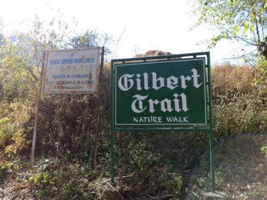 Nature Walk on Gilbert Trail | Kasauli - What to Expect | Timings ...