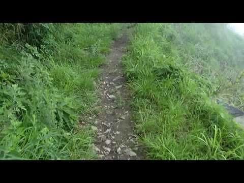 Nature Walk on Gilbert Trail | Kasauli - What to Expect | Timings ...