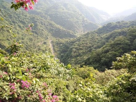 Ride the Parwanoo Ropeway | Kasauli - What to Expect | Timings | Tips ...