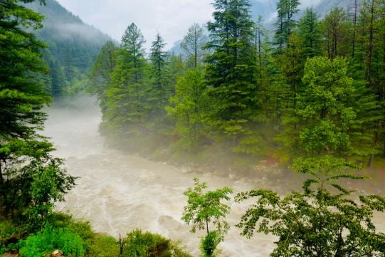 Walk by the Parvati River | Kasol - What to Expect | Timings | Tips ...
