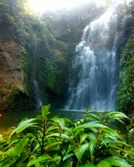Kakochang Waterfalls | Kaziranga - What to Expect | Timings | Tips ...