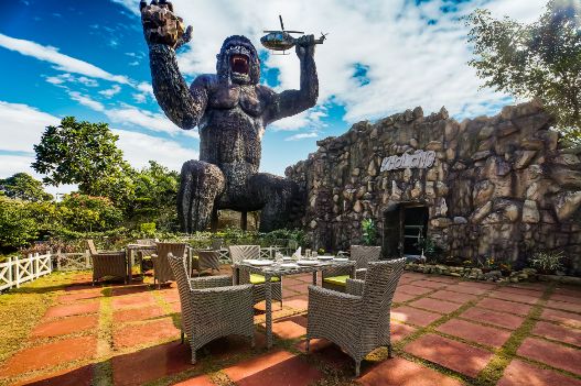 Summit Green Village Resort & Spa | Kaziranga - What to Expect ...