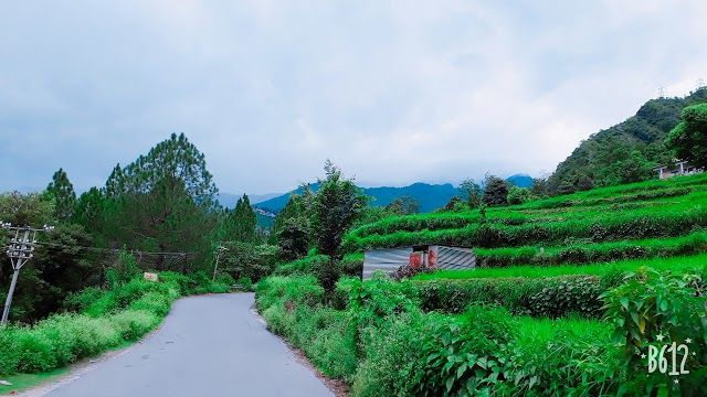 Gopeshwar Near Kedarnath | Kedarnath - What to Expect | Timings | Tips ...