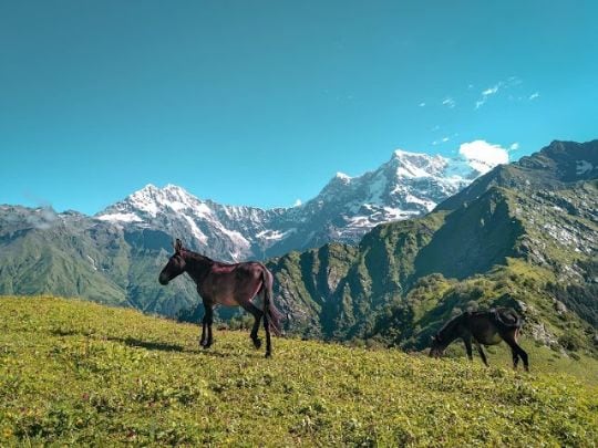 The Stunning Madhyamaheshwar Temple Trek, Kedarnath - Timing, History ...