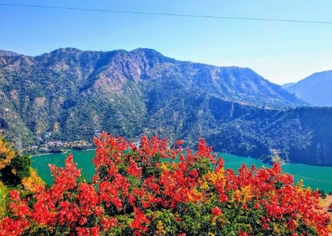 Go boating at the Chamera Lake | Khajjiar - What to Expect | Timings ...