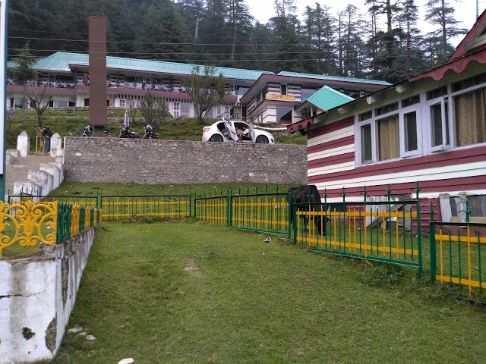 Marvel at the Legendary Panch Pandav Tree | Khajjiar - What to Expect ...
