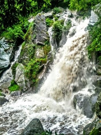 Trek to the Panjpulla Waterfall | Khajjiar - What to Expect | Timings ...