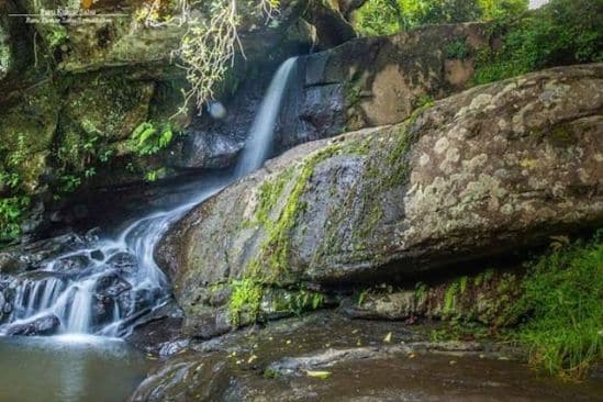 Bear Shola Falls | Kodaikanal - What to Expect | Timings | Tips - Trip ...