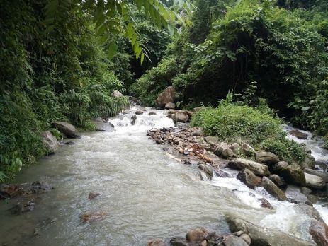 Intanki Wildlife Sanctuary | Kohima - What to Expect | Timings | Tips ...