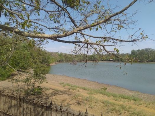 New Palace Museum, Kolhapur - Ticket Price, Timings, Photos