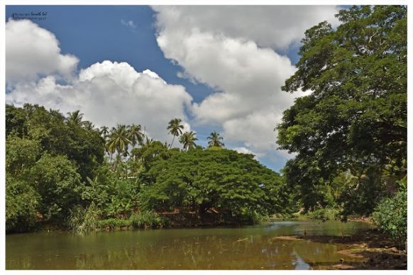 Karamana River | Kovalam - What to Expect | Timings | Tips - Trip Ideas ...