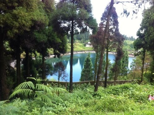 Relax at the Dowhill Eco Park | Kurseong - What to Expect | Timings ...