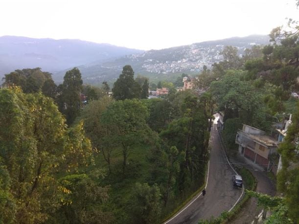 Tour a Tea Garden | Kurseong - What to Expect | Timings | Tips - Trip ...