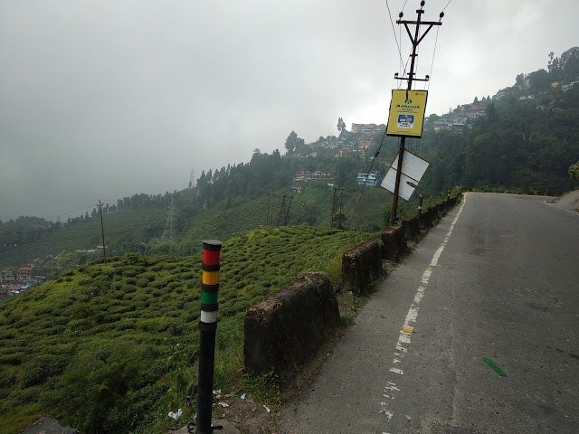 Tour a Tea Garden | Kurseong - What to Expect | Timings | Tips - Trip ...