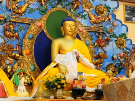 Dhakpo Shedrupling Monastery | Kullu - What to Expect | Timings | Tips ...