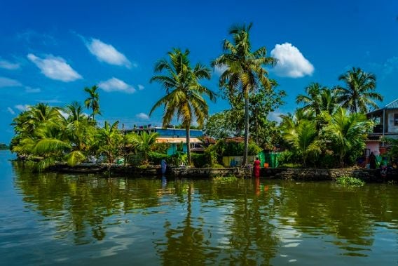 Kumarakom Bird Sanctuary | Kumarakom - What to Expect | Timings | Tips ...