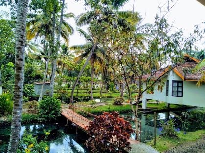 Vembanad Lake | Kumarakom - What to Expect | Timings | Tips - Trip ...