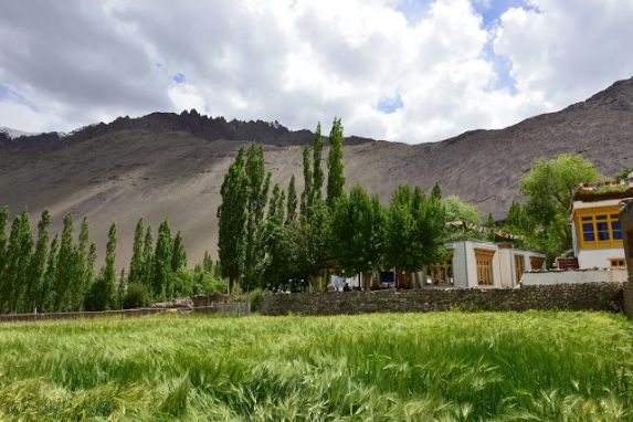 Alchi Monastery | Ladakh - What to Expect | Timings | Tips - Trip Ideas ...