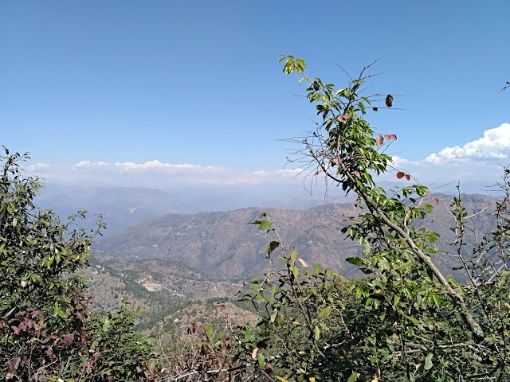 Darwan Singh Museum, Lansdowne - Ticket Price, Timings, Photos