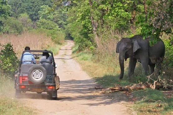 Go for a Safari Ride in Kalagarh Wildlife Sanctuary | Lansdowne - What ...