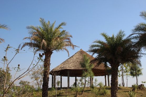 Vanvasa Resort | Lansdowne - What to Expect | Timings | Tips - Trip ...