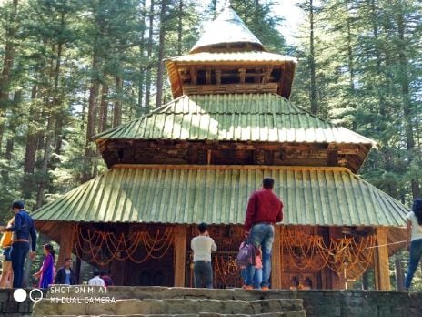 Van Vihar National Park | Manali - What to Expect | Timings | Tips ...