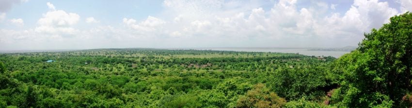 Van Vihar National Park | Manali - What to Expect | Timings | Tips ...