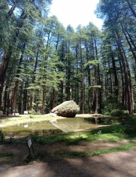 Manali | Best Time to Visit | Things to Do | Travel, Stay, Packages ...