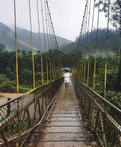 Kudremukh National Park, Mangalore - Safari Timing, Ticket Fee & Photos