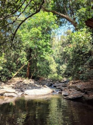 Agumbe Village | Manipal - What to Expect | Timings | Tips - Trip Ideas ...