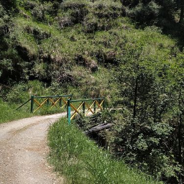 Shimla Water Catchment Wildlife Sanctuary | Mashobra - What to Expect ...