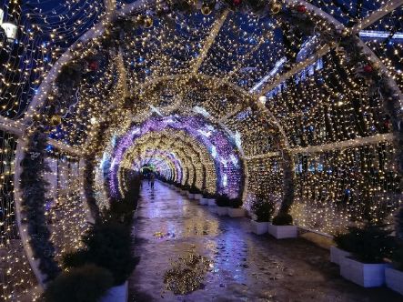 Cafe Pushkin | Moscow - What to Expect | Timings | Tips - Trip Ideas by ...