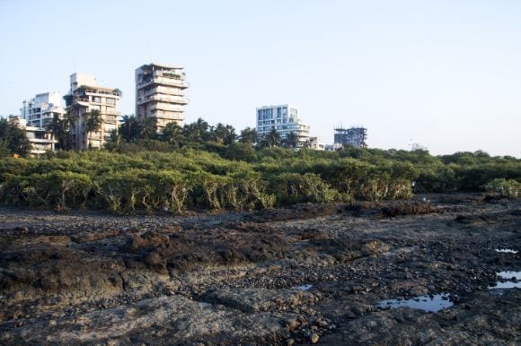 Explore Carter Road | Mumbai - What to Expect | Timings | Tips - Trip ...