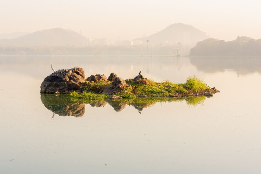 Powai Lake | Mumbai - What to Expect | Timings | Tips - Trip Ideas by ...