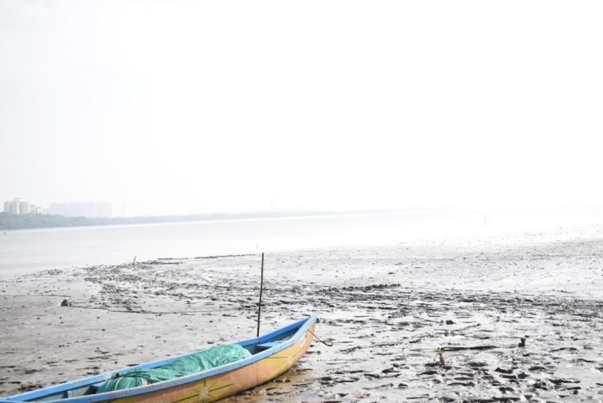 Gorai Beach, Mumbai - Things to Do, Timings & Photos