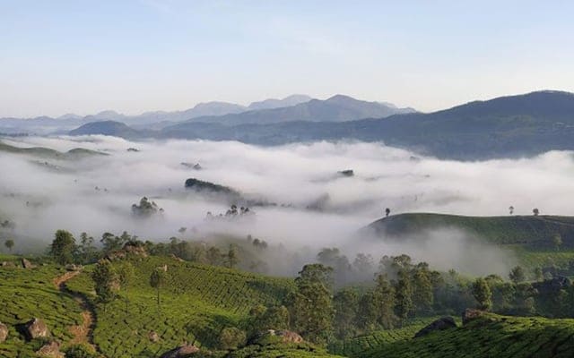 Lockheart Gap | Munnar - What to Expect | Timings | Tips - Trip Ideas ...