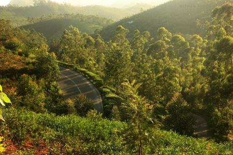 Photo Point | Munnar - What to Expect | Timings | Tips - Trip Ideas by ...