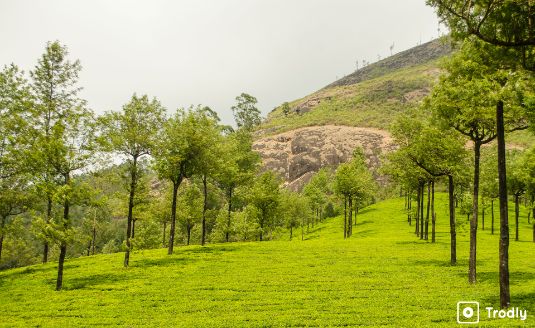 Photo Point | Munnar - What to Expect | Timings | Tips - Trip Ideas by ...