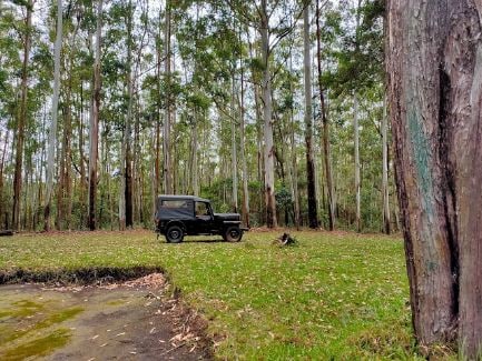 Seetha Devi Lake | Munnar - What to Expect | Timings | Tips - Trip ...