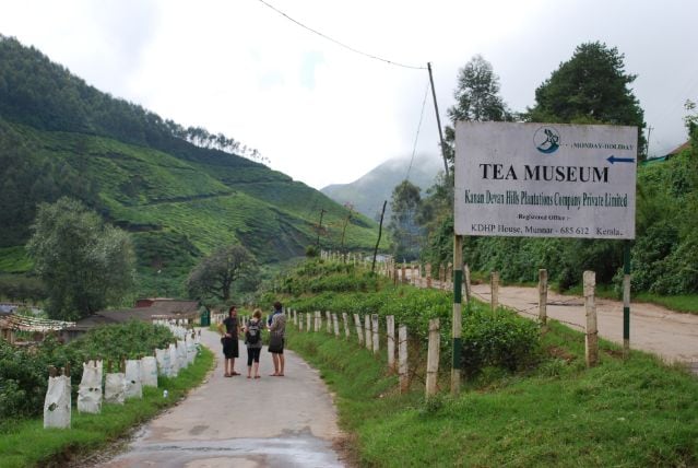 Visit the Tea Museum | Munnar - What to Expect | Timings | Tips - Trip ...