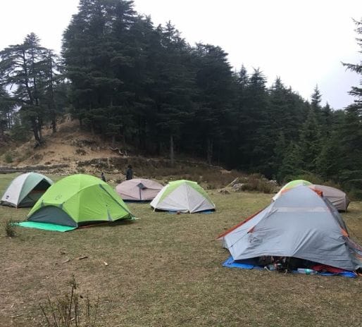 Trekking Near Mussoorie | Mussoorie - What to Expect | Timings | Tips ...